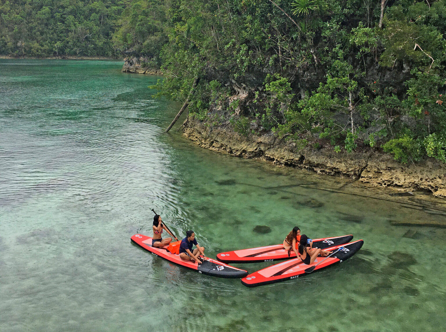 From Political Risk to Political Power: One Mayor’s Marine Vision in the Philippines – Revive ...
