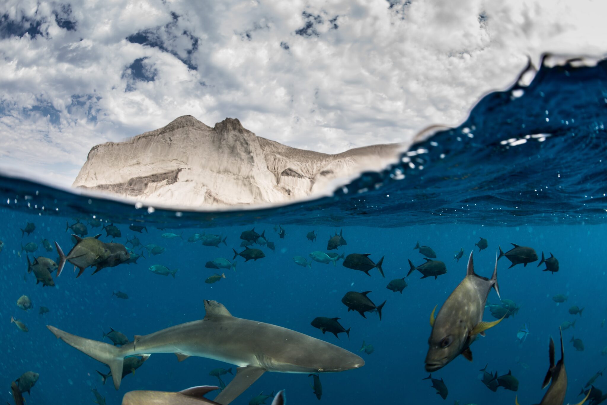 Understanding Marine Protected Areas – Revive Our Ocean