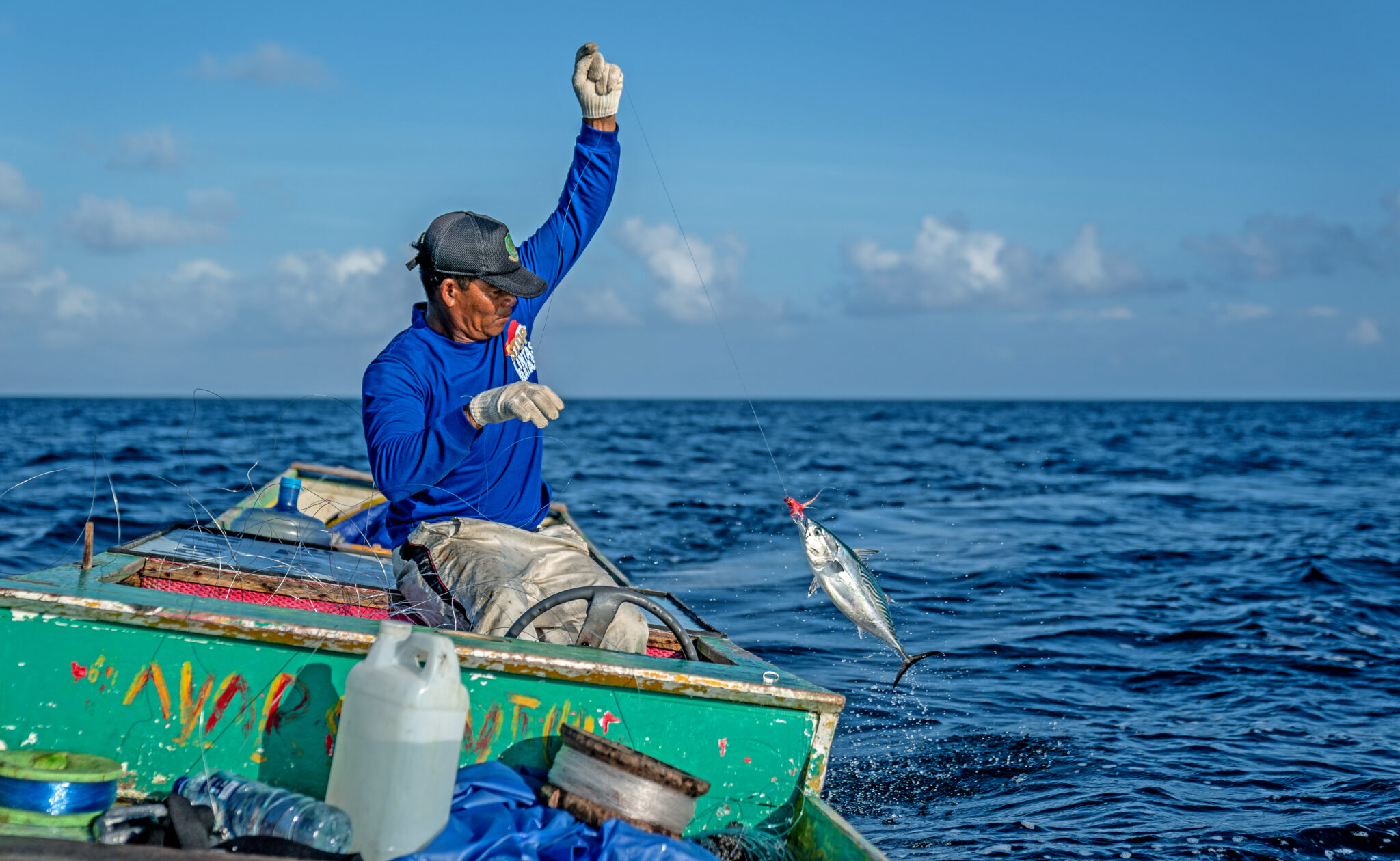 Collective: Rare Fish Forever – Revive Our Ocean