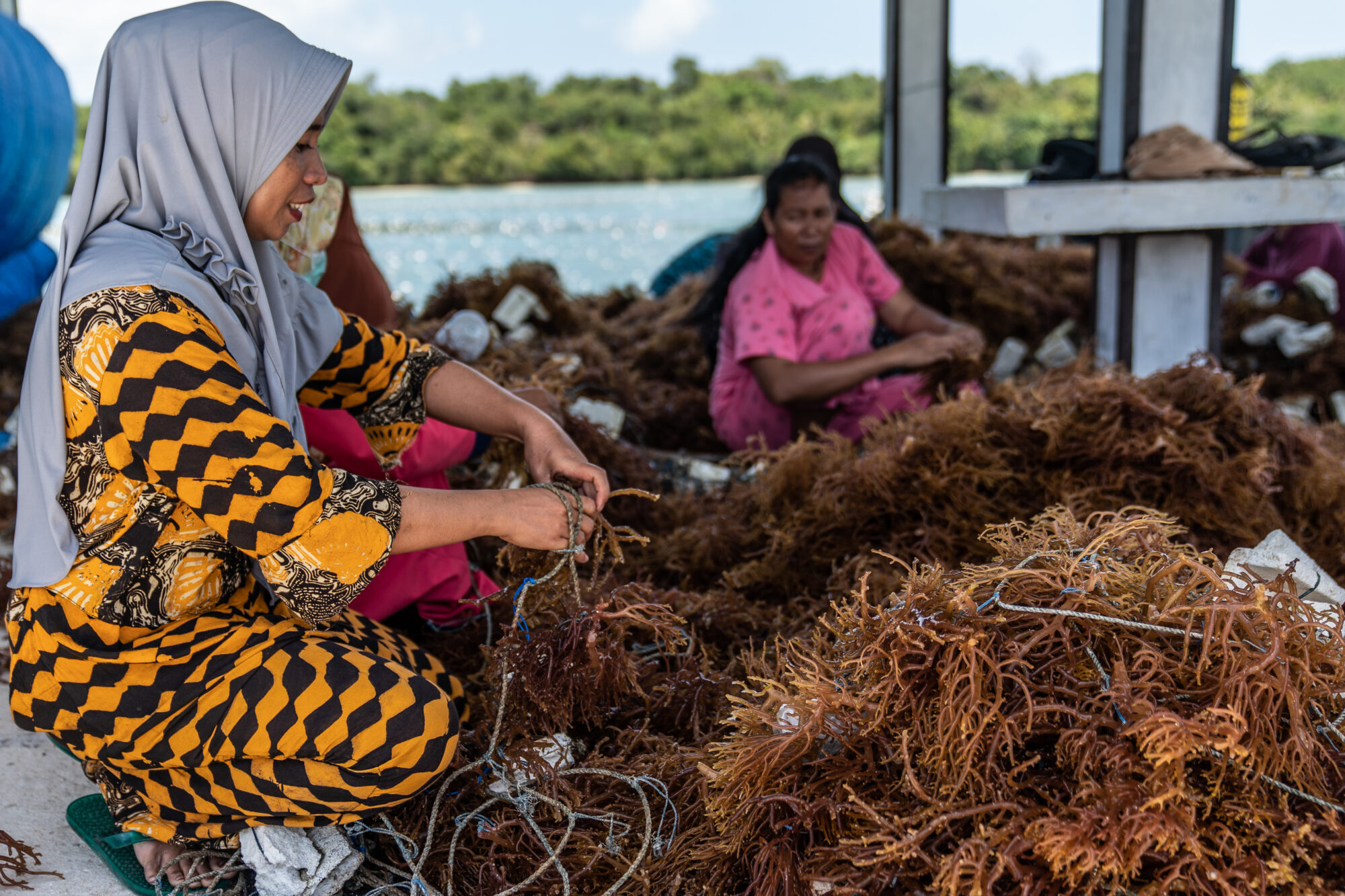 Collective: Rare Fish Forever – Revive Our Ocean