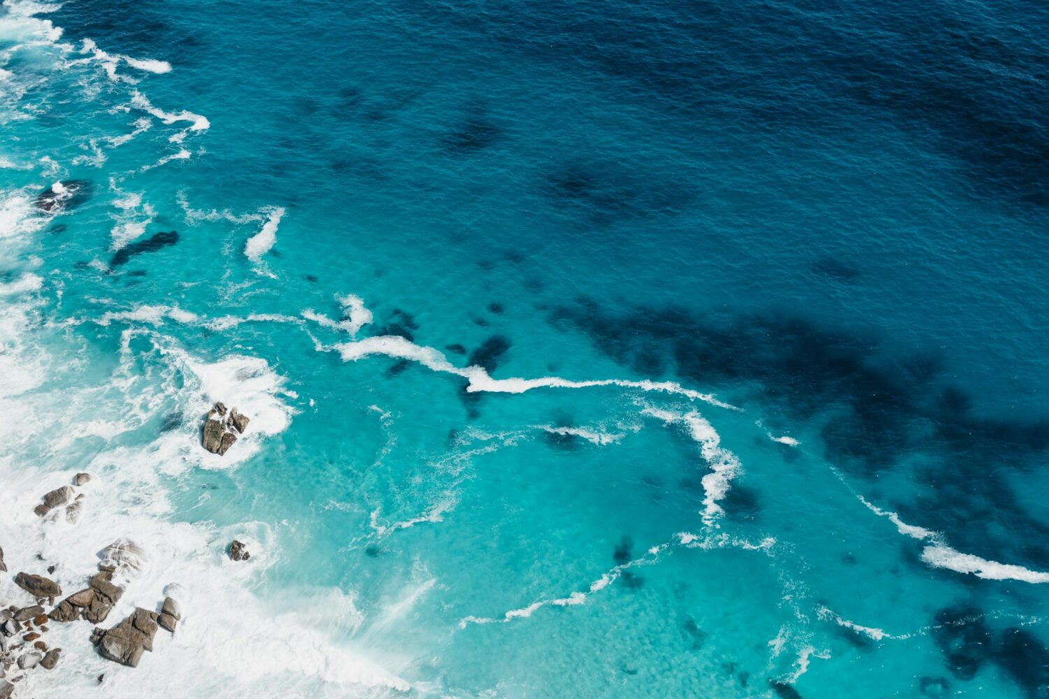 OCEAN With David Attenborough – Revive Our Ocean