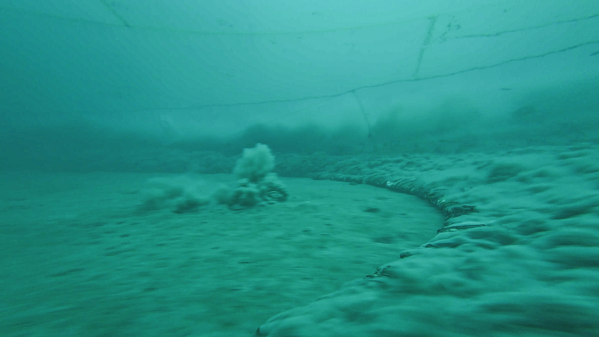 End Bottom Trawling in MPAs – Revive Our Ocean