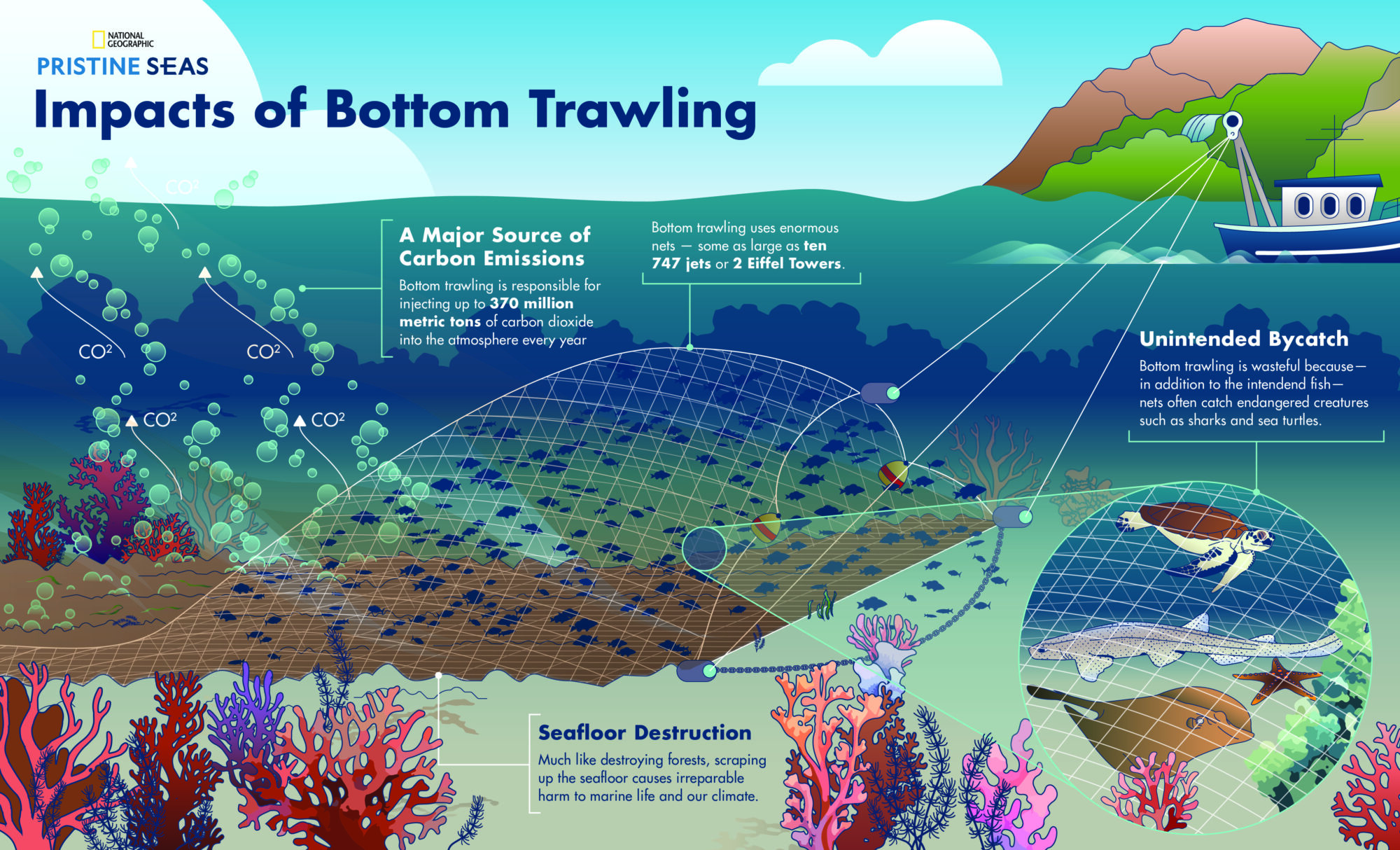 End Bottom Trawling in MPAs – Revive Our Ocean