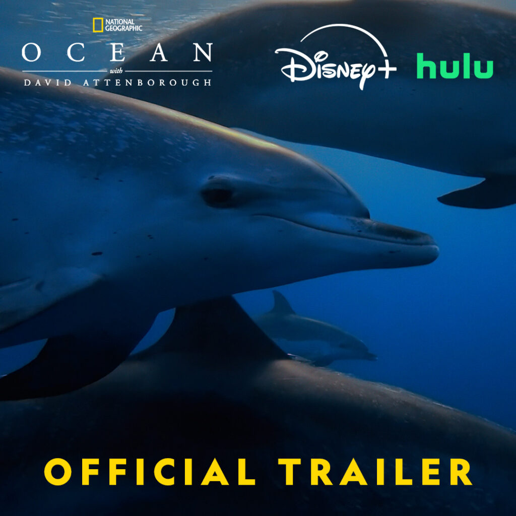 OCEAN With David Attenborough – Revive Our Ocean